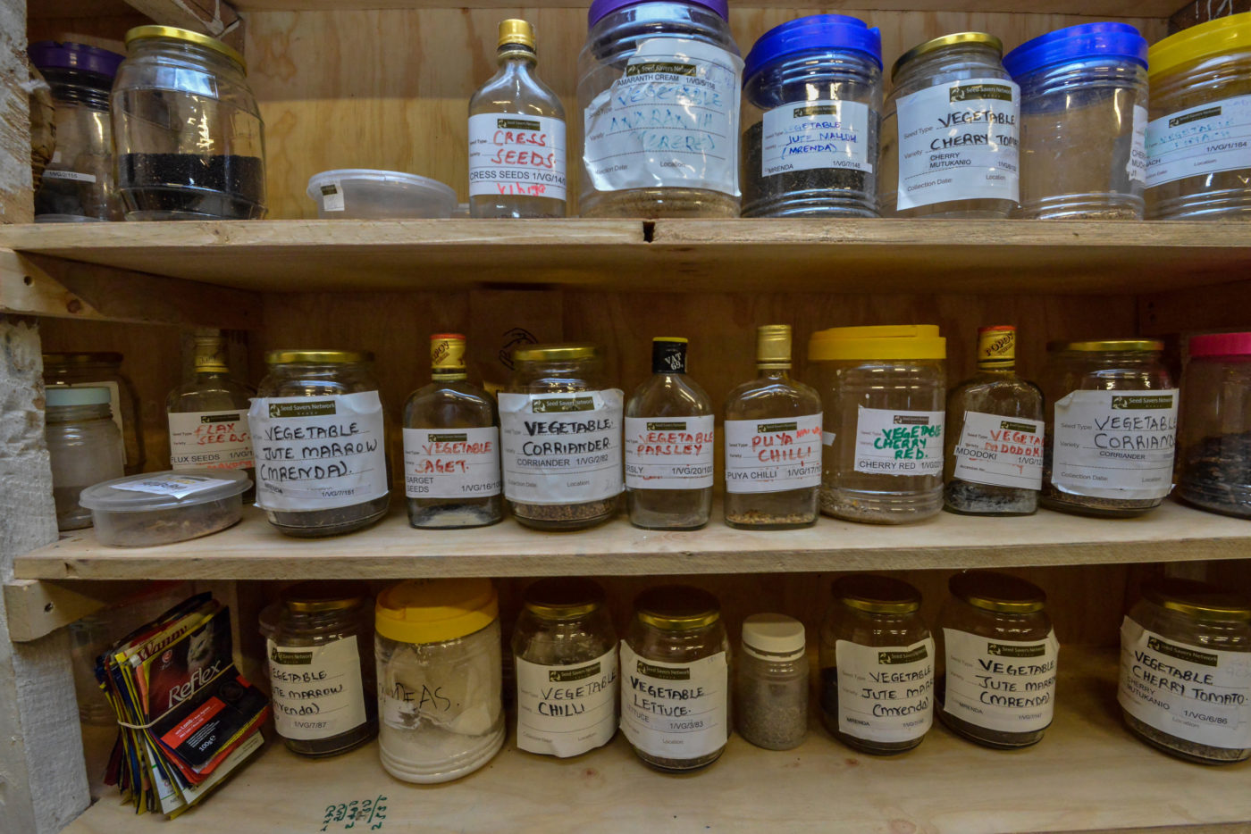 In Kenya, seed banks help with food security