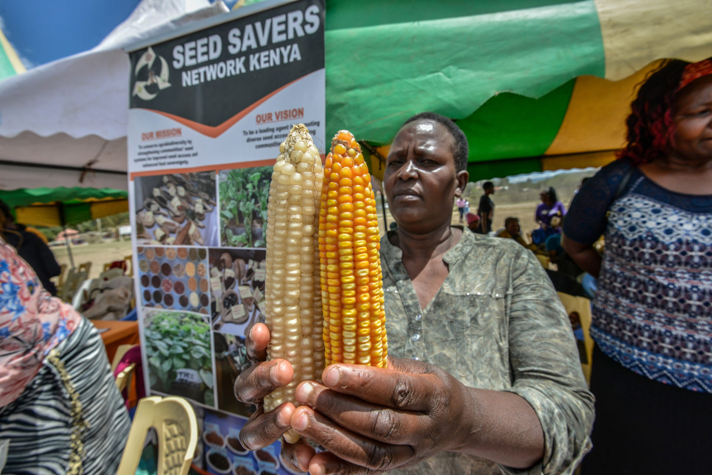 In Kenya, seed banks help with food security