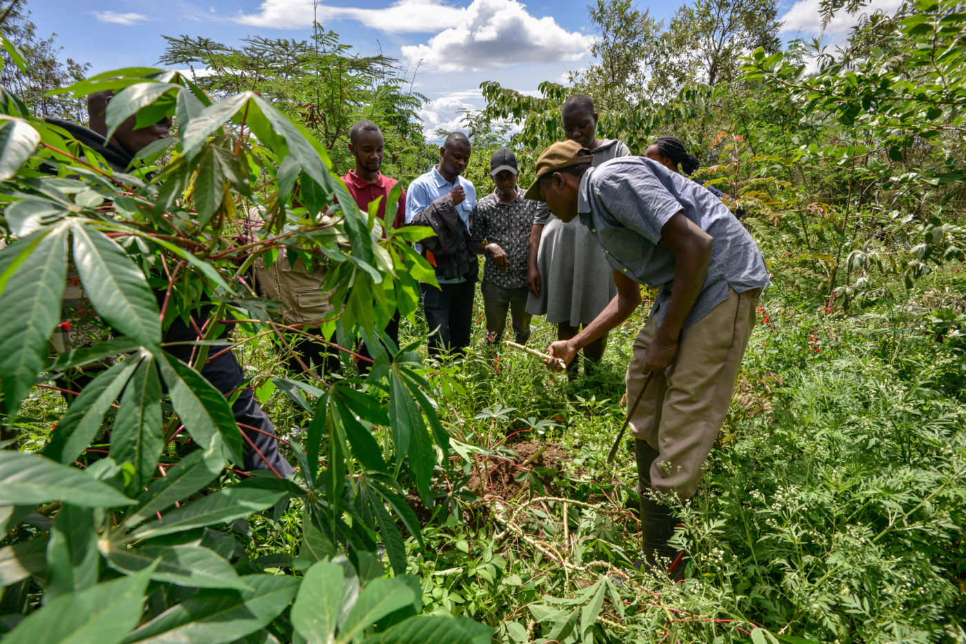 In Kenya, seed banks help with food security