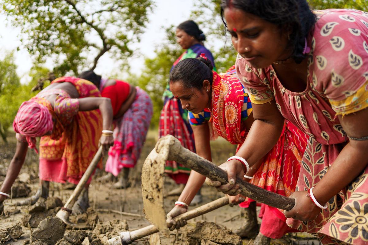 India and Bangladesh must address climate migration together | Dialogue ...