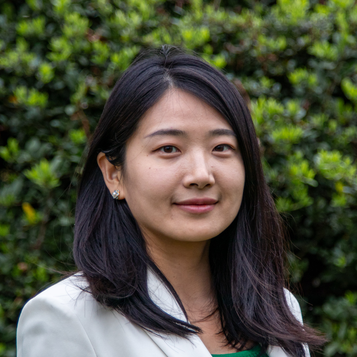 About | Dialogue Earth