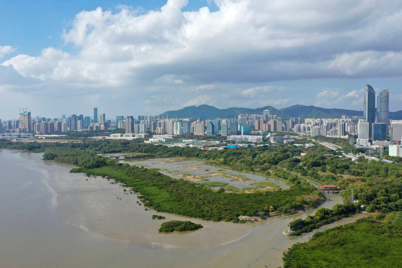 Shenzhen: How China’s most ‘futuristic’ city restored its mangroves
