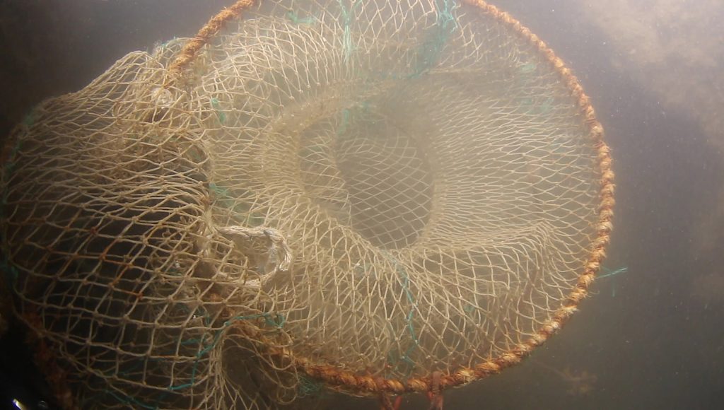 How to stop net dumping in China’s largest fishing ground | Dialogue Earth