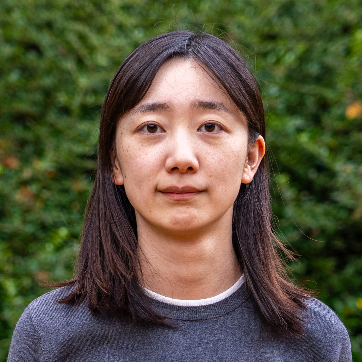 About | Dialogue Earth