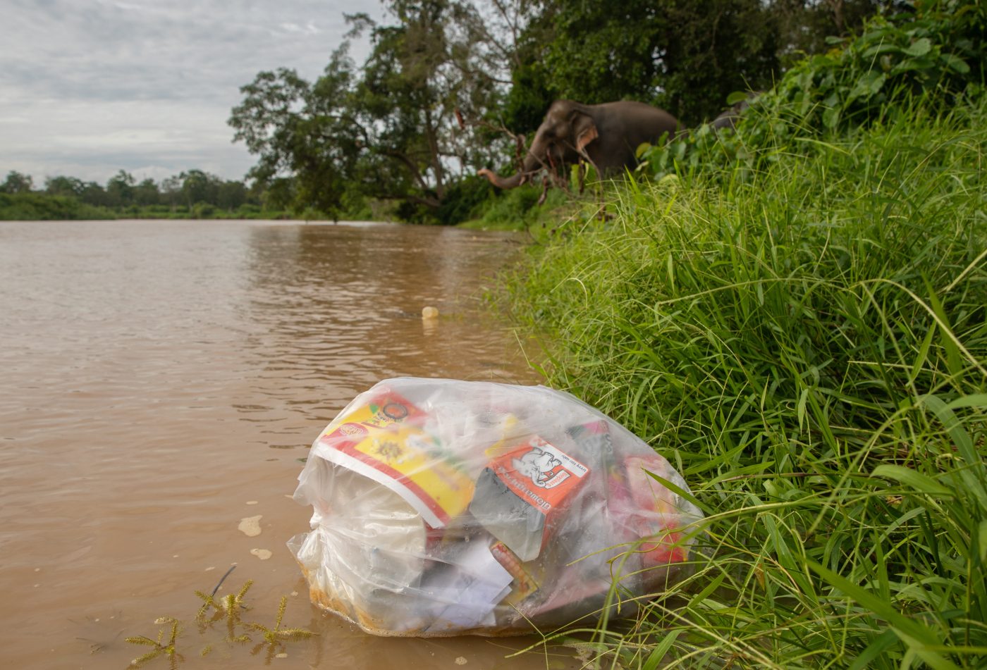 The struggle against plastic choking the Mekong | Dialogue Earth