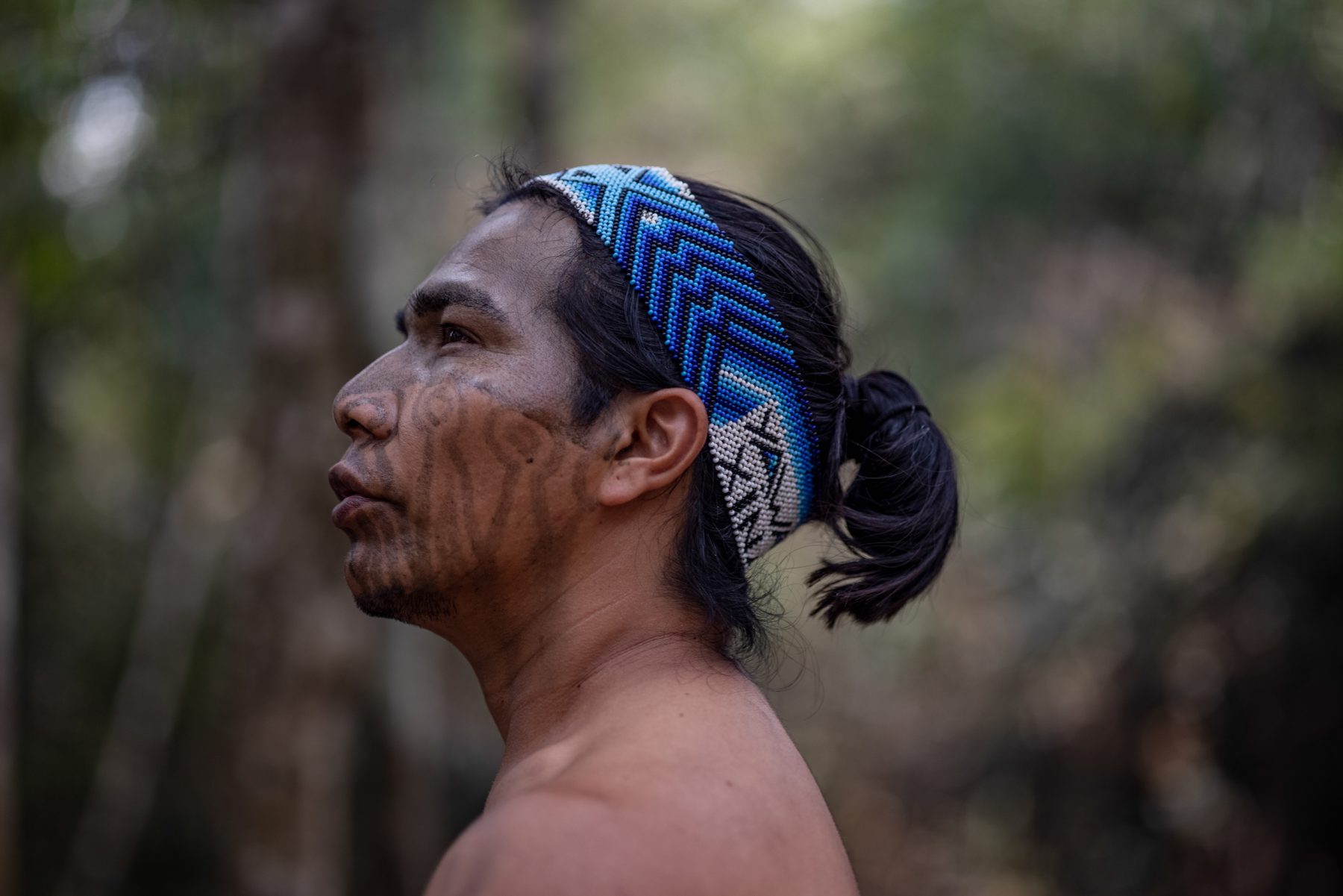 ‘The cure is in the forest’: A shaman’s journey in the Brazilian Amazon