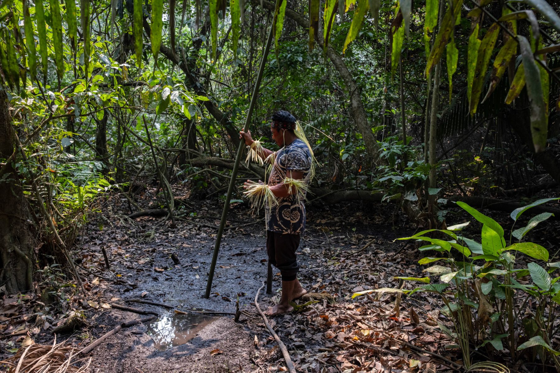‘The cure is in the forest’: A shaman’s journey in the Brazilian Amazon
