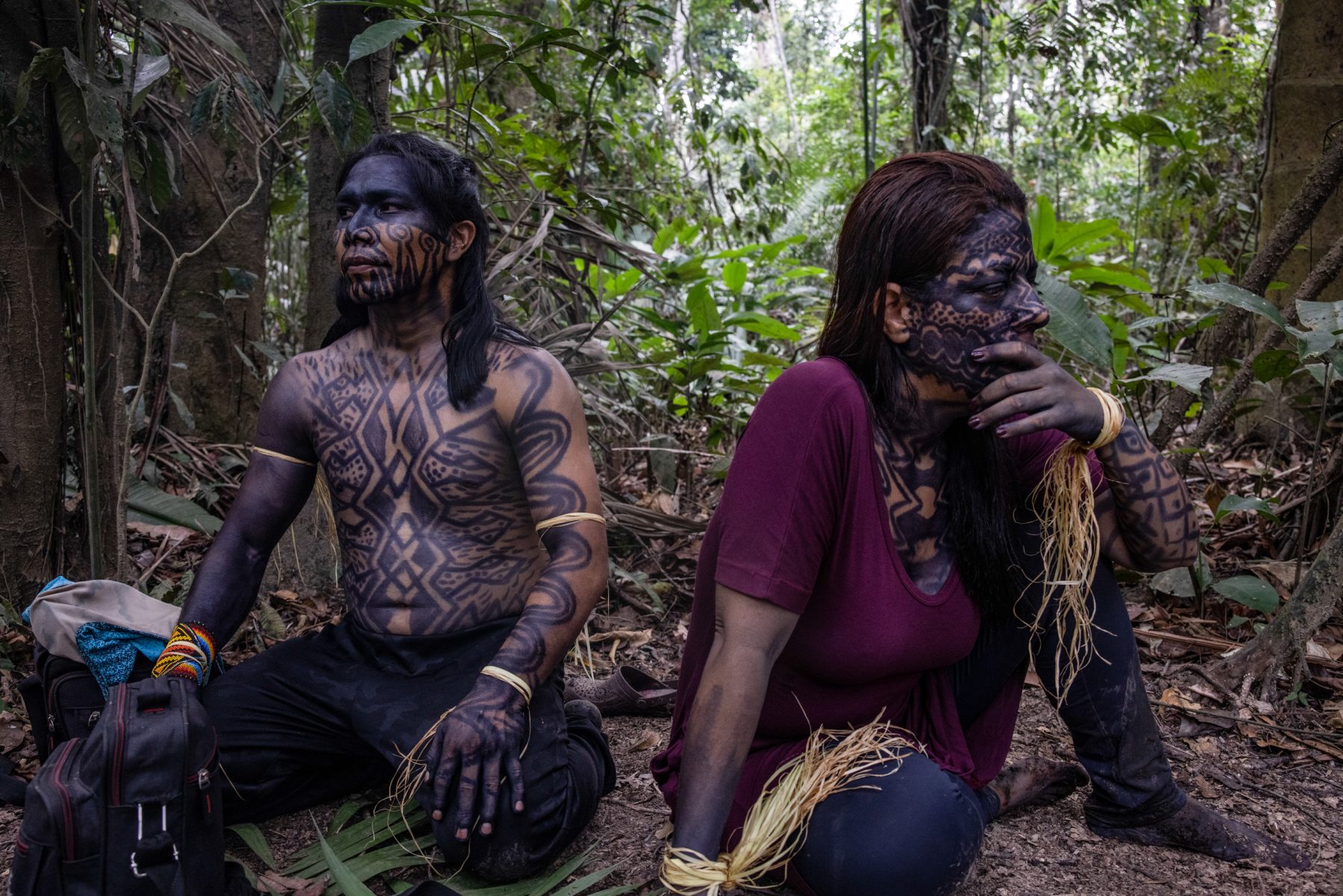 ‘The cure is in the forest’: A shaman’s journey in the Brazilian Amazon