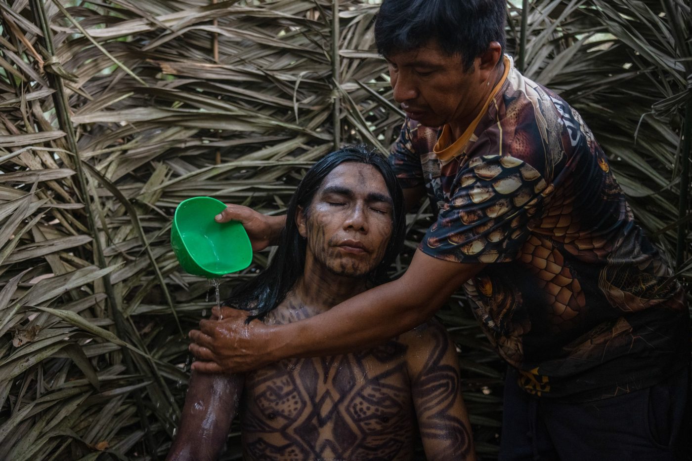 ‘The cure is in the forest’: A shaman’s journey in the Brazilian Amazon