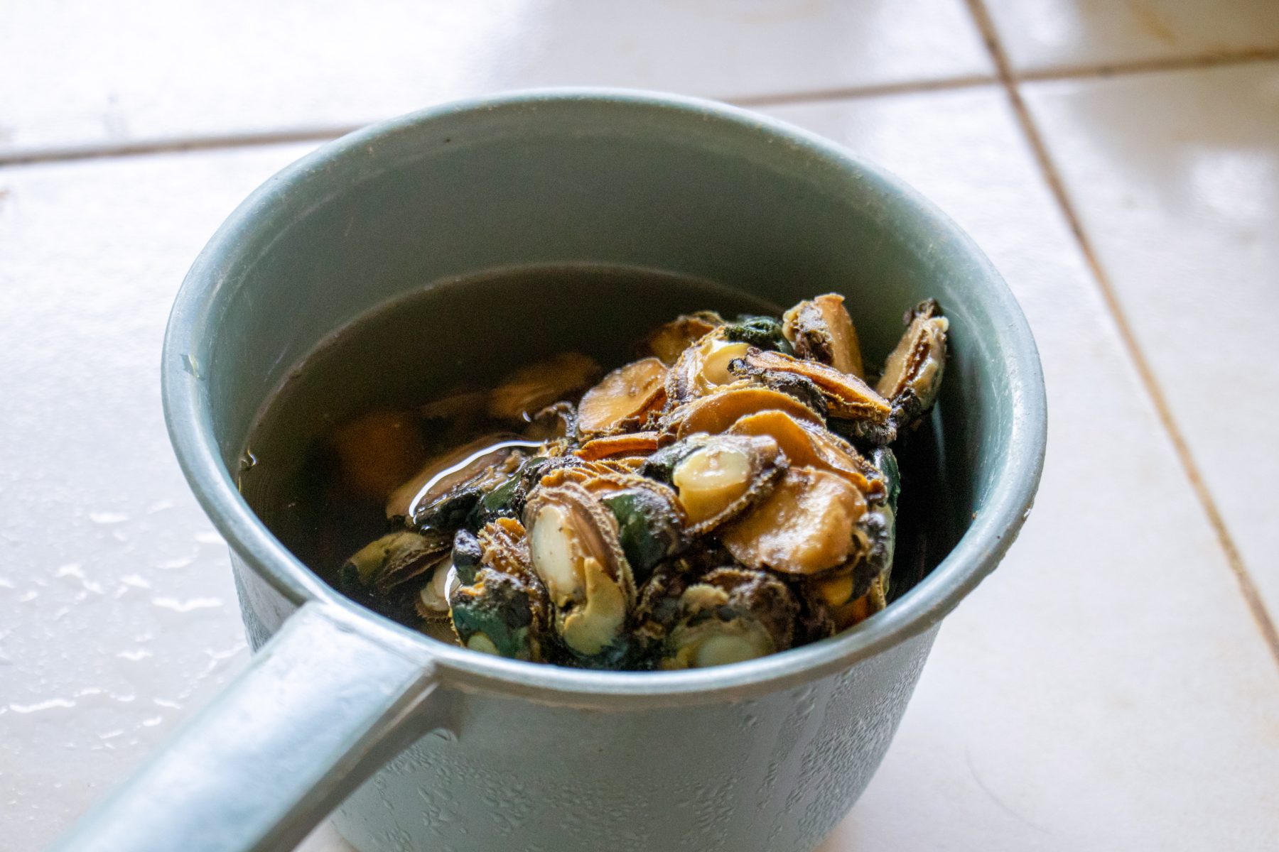 Paying back the sea: A Balinese fisher’s tale