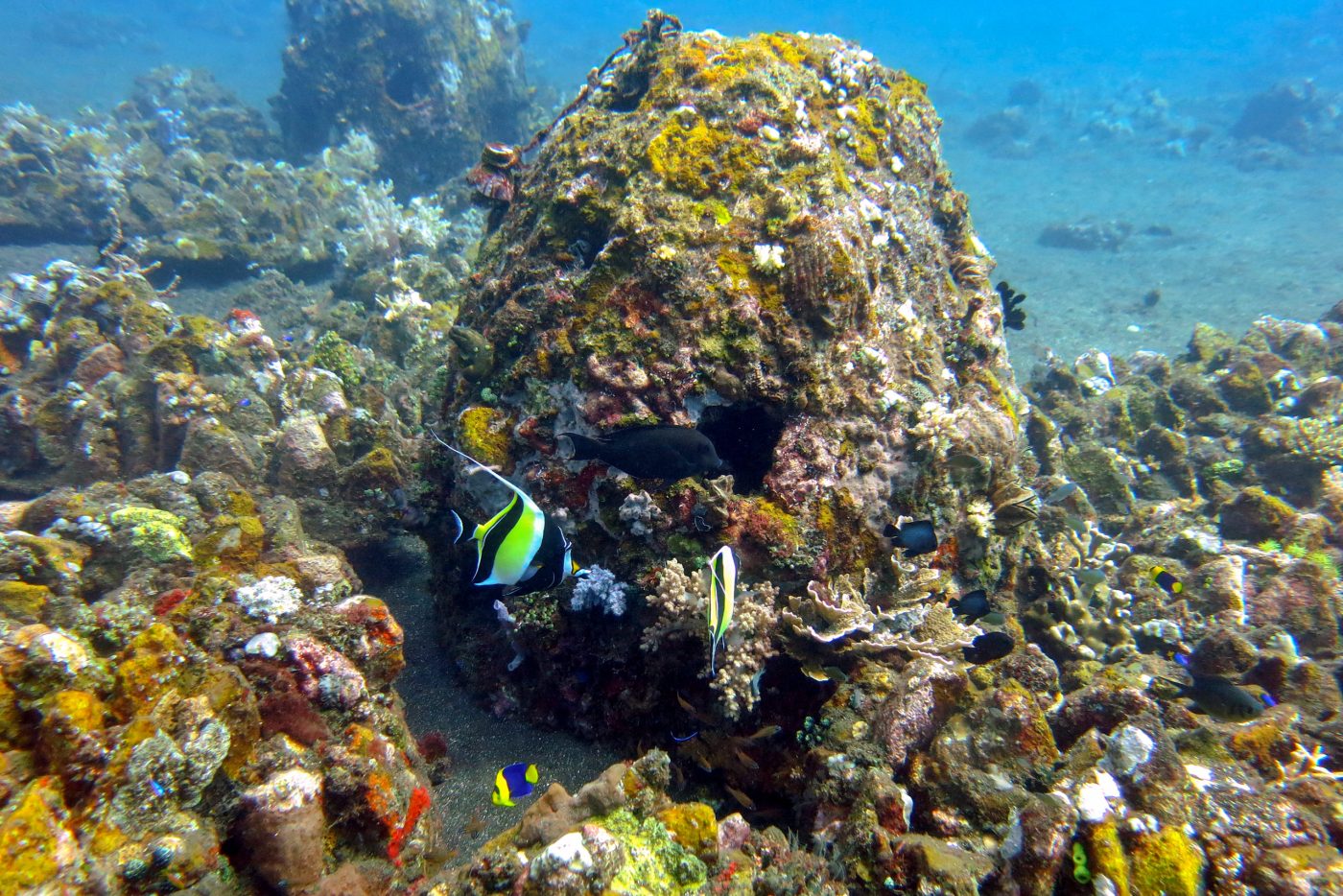 Paying back the sea: A Balinese fisher’s tale