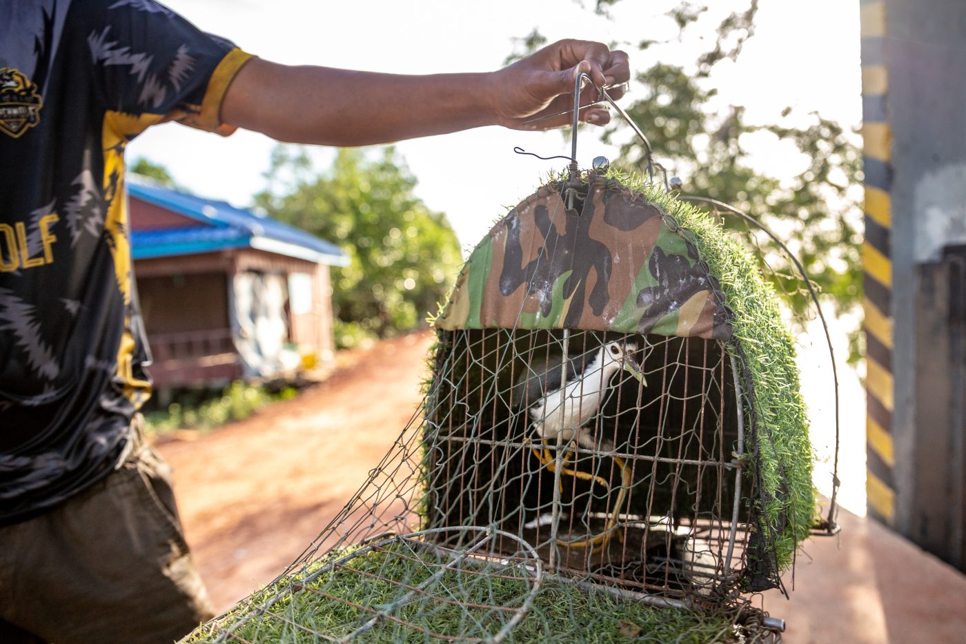 Bird hunting in Cambodia driven by poverty and lax enforcement
