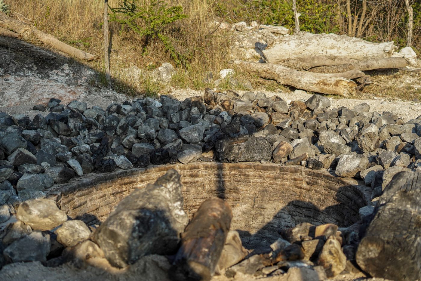 Bats and the boom: Mexico’s destructive mezcal growth