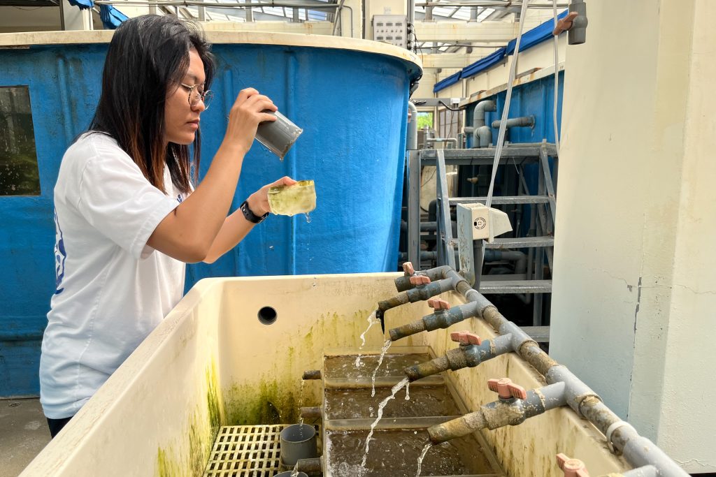 Could freezing coral larvae protect reefs from ocean warming ...