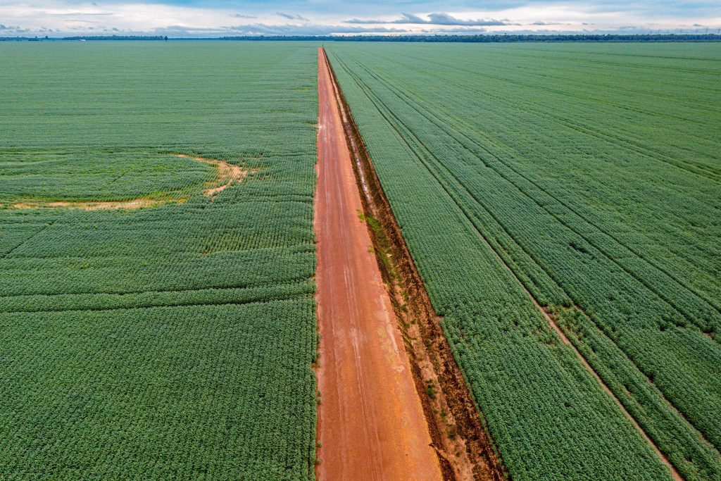 Birth of biggest ever trade bloc troubles environmental experts ...