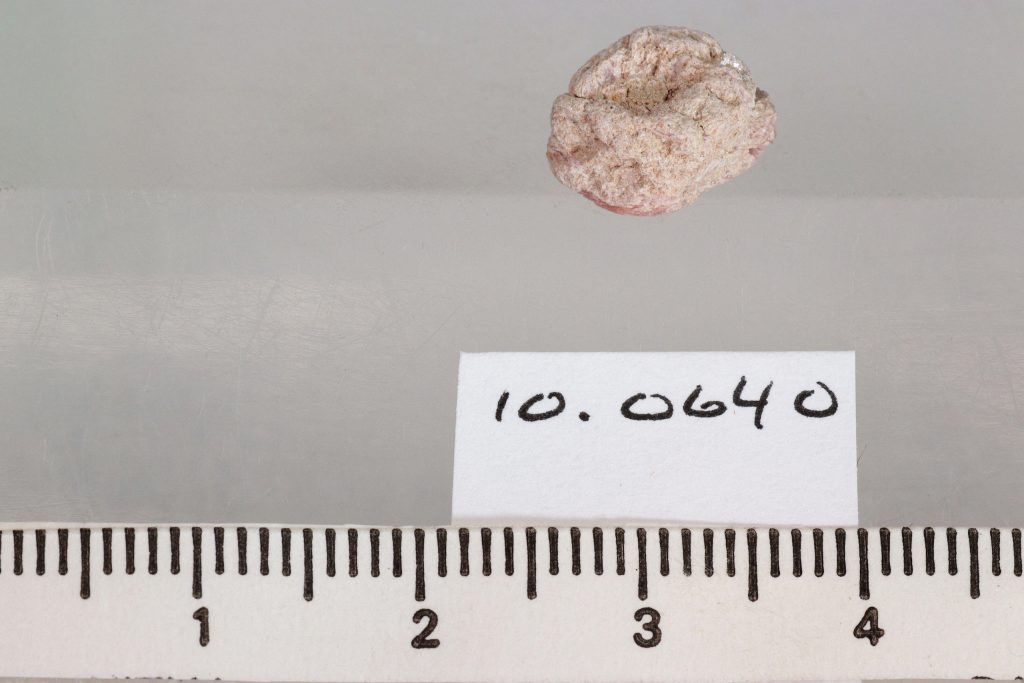 Latin America is entering the rush for rare earths | Dialogue Earth