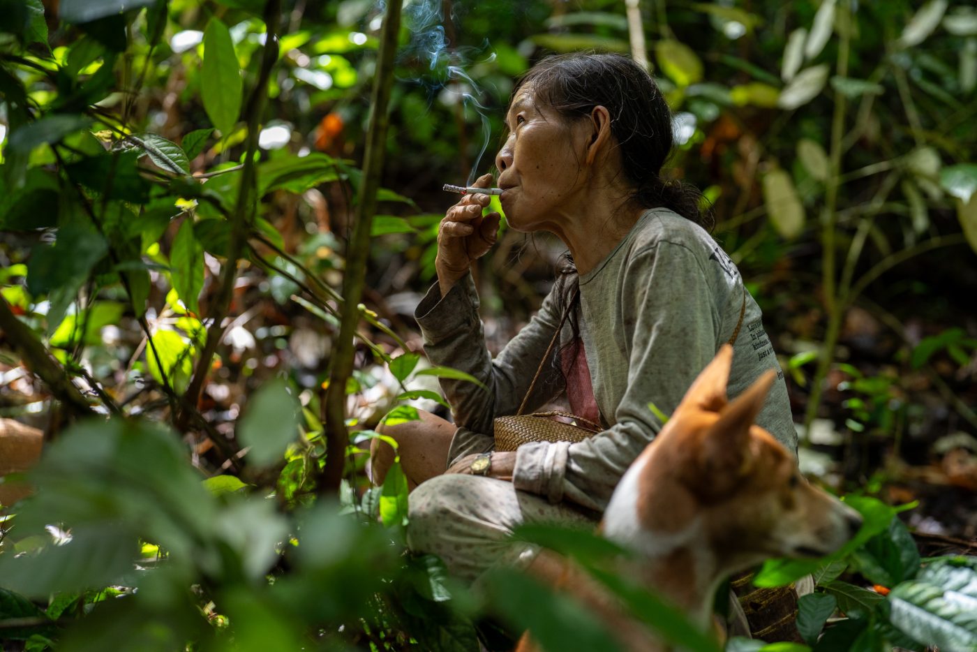 Kalimantan’s last hunter-gatherers: ‘The more we report, the faster our ...